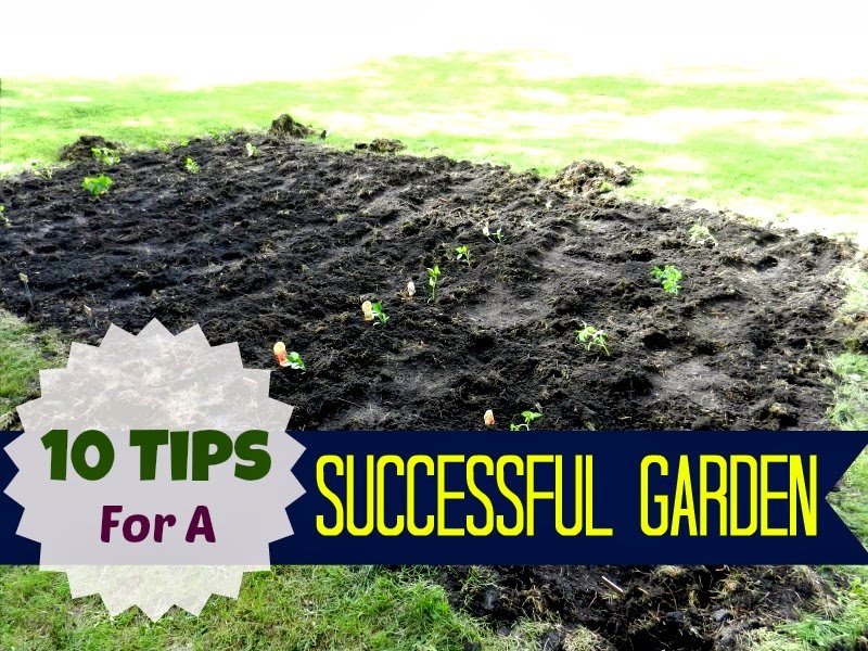 tips for a successful garden - The Shabby Creek Cottage