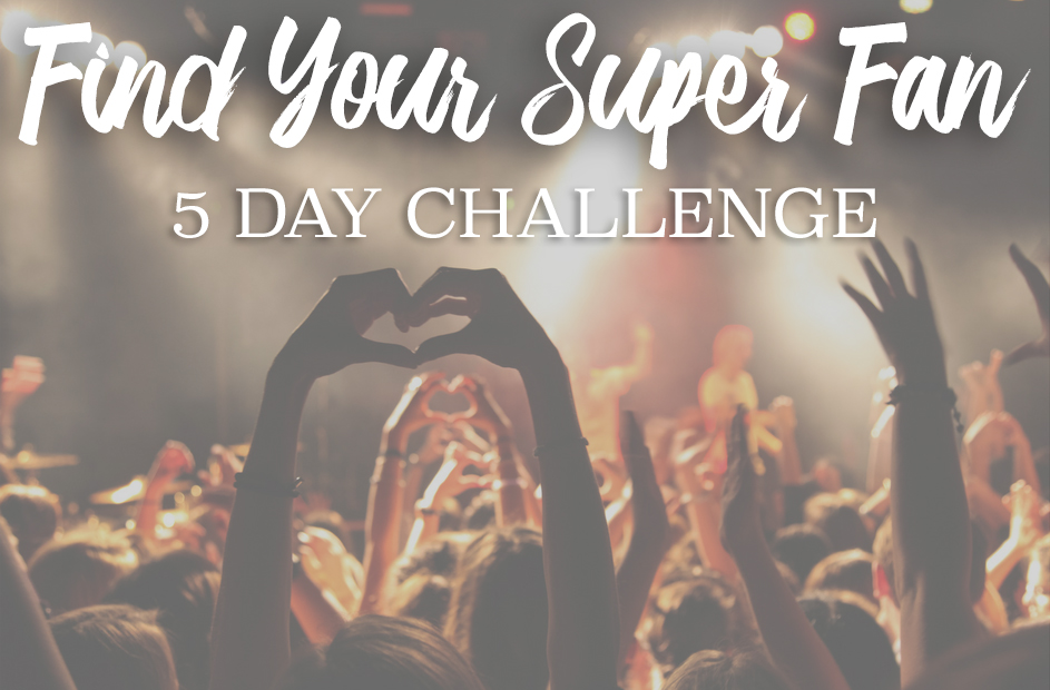 Are You Struggling to Understand Your Audience? You need a Super Fan!